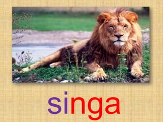 Perkataan digraf | PPT