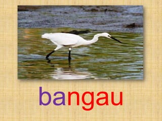 Perkataan digraf | PPTX