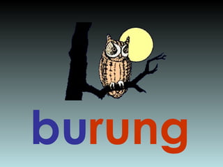 Perkataan digraf | PPT