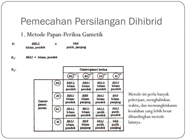 Perkawinan dihibrid | PPT