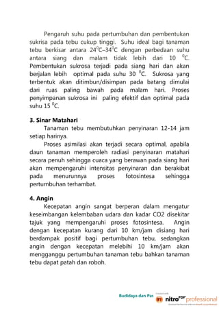 Perkebunan budidaya tebu | PDF
