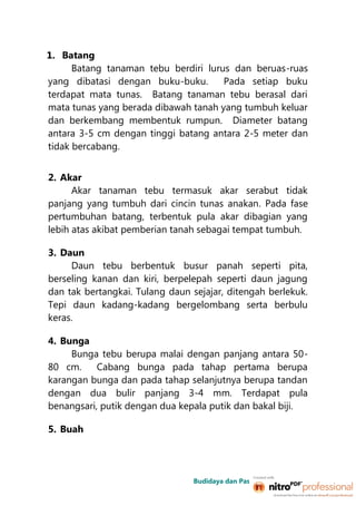 Perkebunan budidaya tebu | PDF