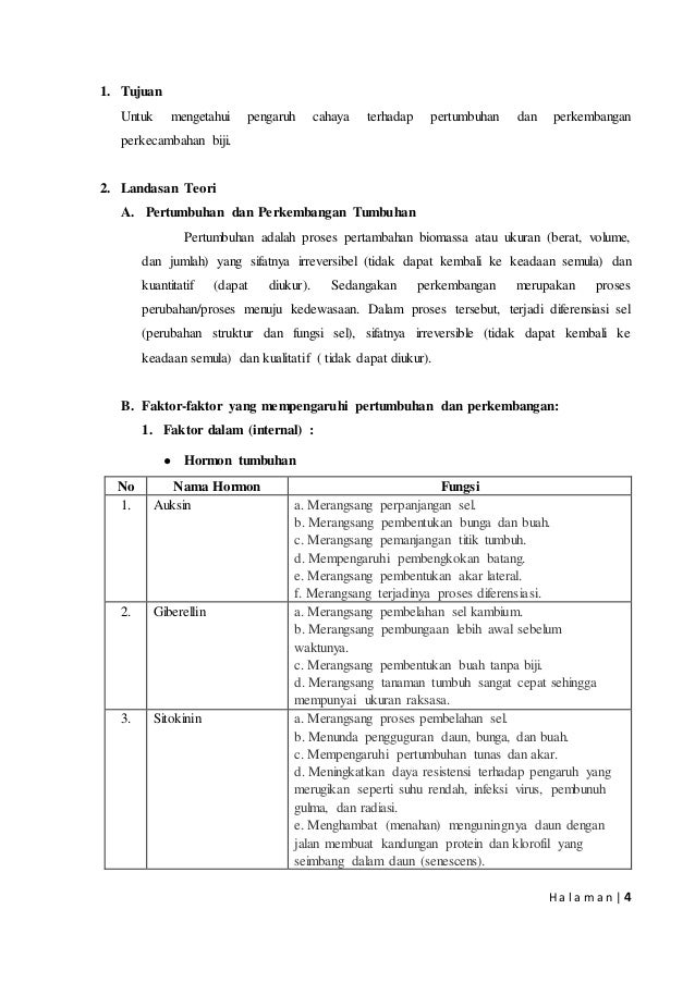 LAPORAN BIOLOGI : Pengaruh Cahaya terhadap Pertumbuhan dan Perkembang… LAPORAN BIOLOGI : Pengaruh Cahaya terhadap Pertumbuhan dan Perkembang…