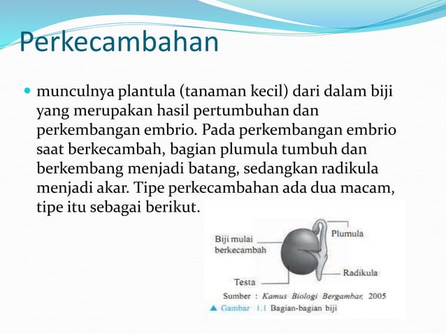 perkecambahan hipogeal dan epigeal | PPT