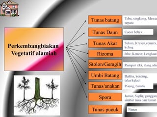 Perkemangbiakan makhluk hidup | PPSX