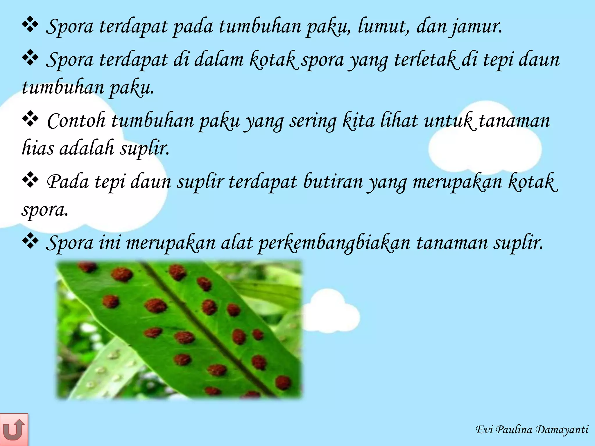 Perkembangbiakan vegetatif tumbuhan.ppt