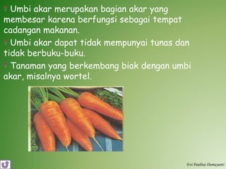 Perkembangbiakan vegetatif tumbuhan.ppt