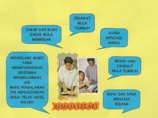 CONTOH PPT PERKEMBANGAN AWAL REMAJA LELAKI | PPT