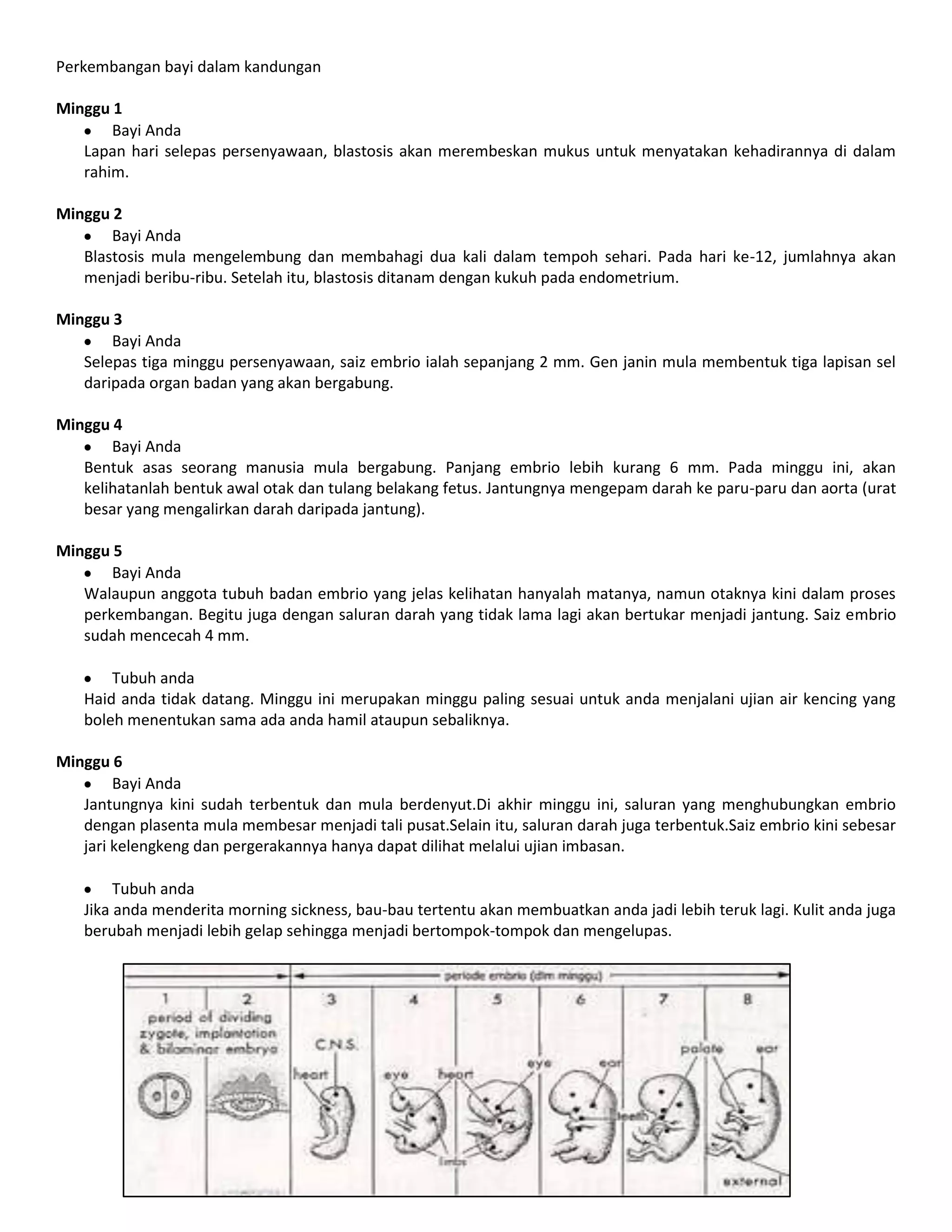 Perkembangan bayi dalam kandungan | DOCX