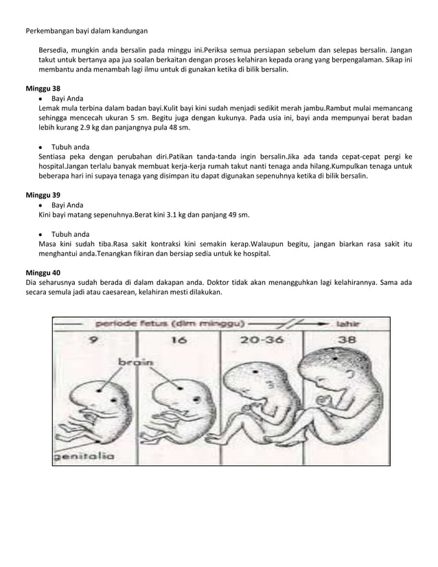 Perkembangan bayi dalam kandungan | PDF