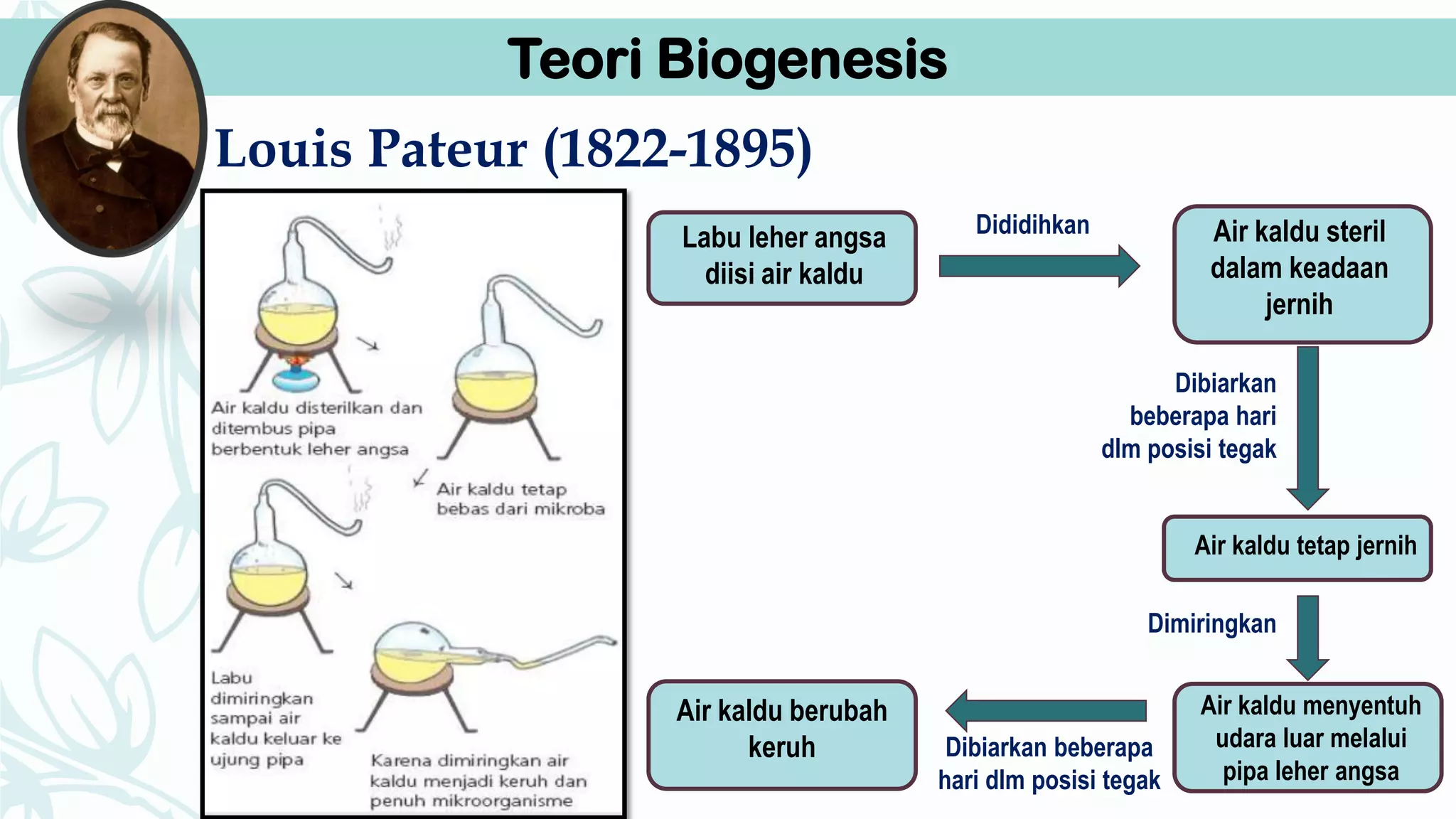 Perkembangan biologi dalam perspektif ilmu alamiah modern dan islam | PDF