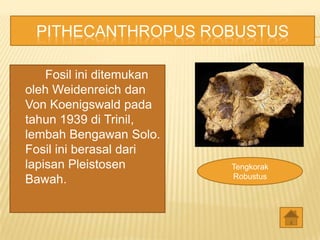 Perkembangan biologis manusia purba di indonesia | PPTX