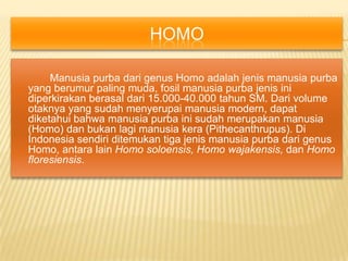 Perkembangan biologis manusia purba di indonesia | PPTX