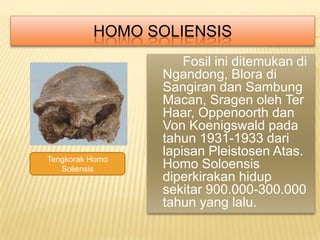 Perkembangan biologis manusia purba di indonesia | PPTX