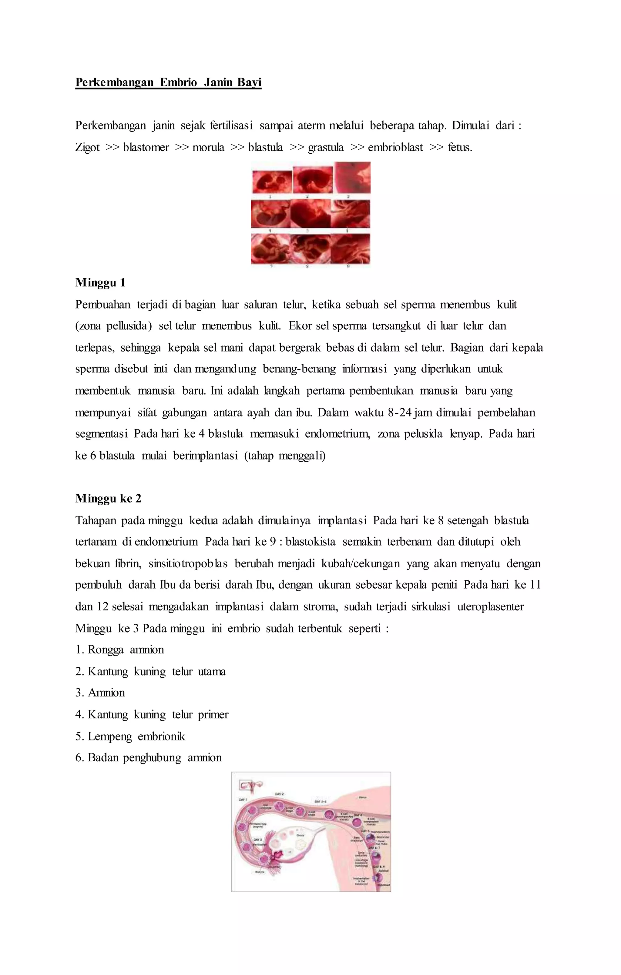 Perkembangan dan pertumbuhan janin (embrio) pada triester i | DOCX