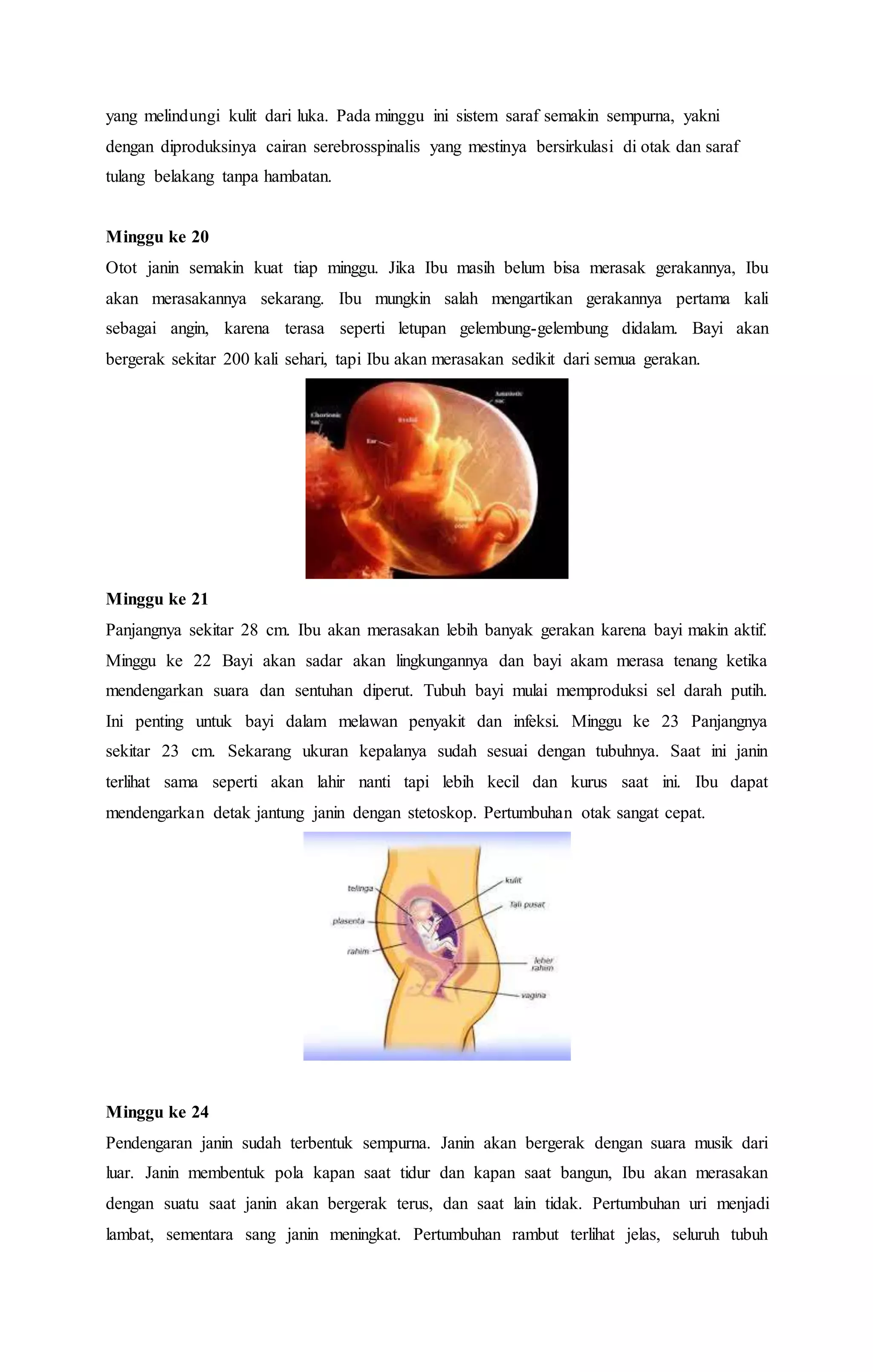 Perkembangan dan pertumbuhan janin (embrio) pada triester i | PDF