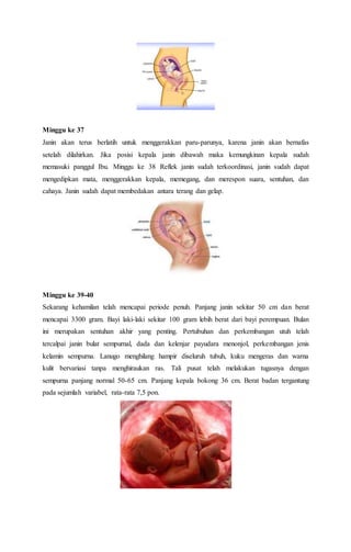 Perkembangan dan pertumbuhan janin (embrio) pada triester i | DOCX