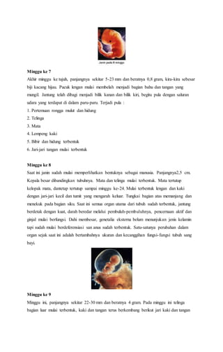Perkembangan dan pertumbuhan janin (embrio) pada triester i | DOCX