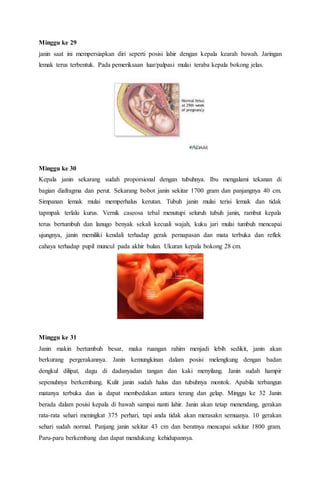 Perkembangan dan pertumbuhan janin (embrio) pada triester i | DOCX