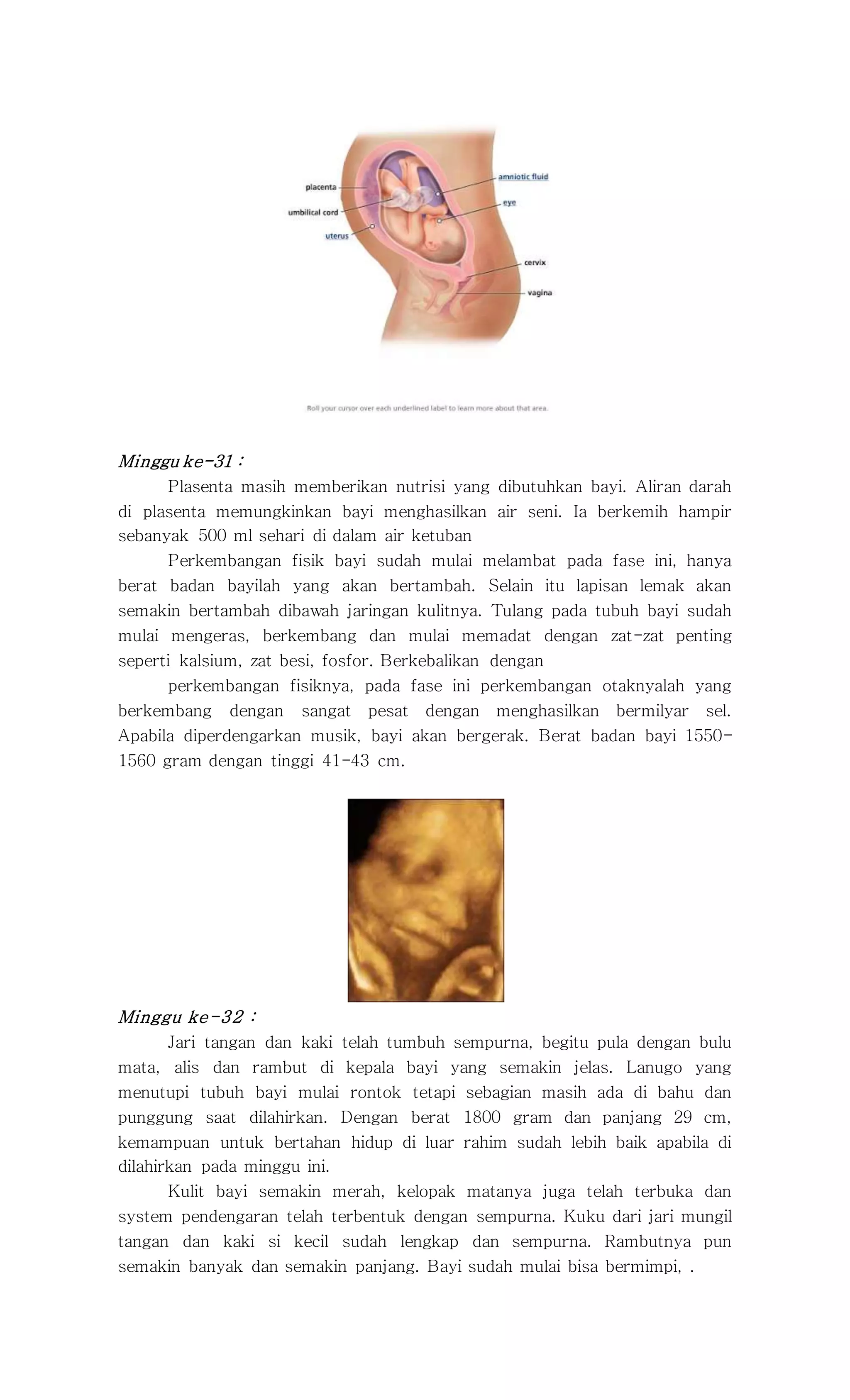 Perkembangan dan pertumbuhan janin (embrio) pada trimester i, trimester ...