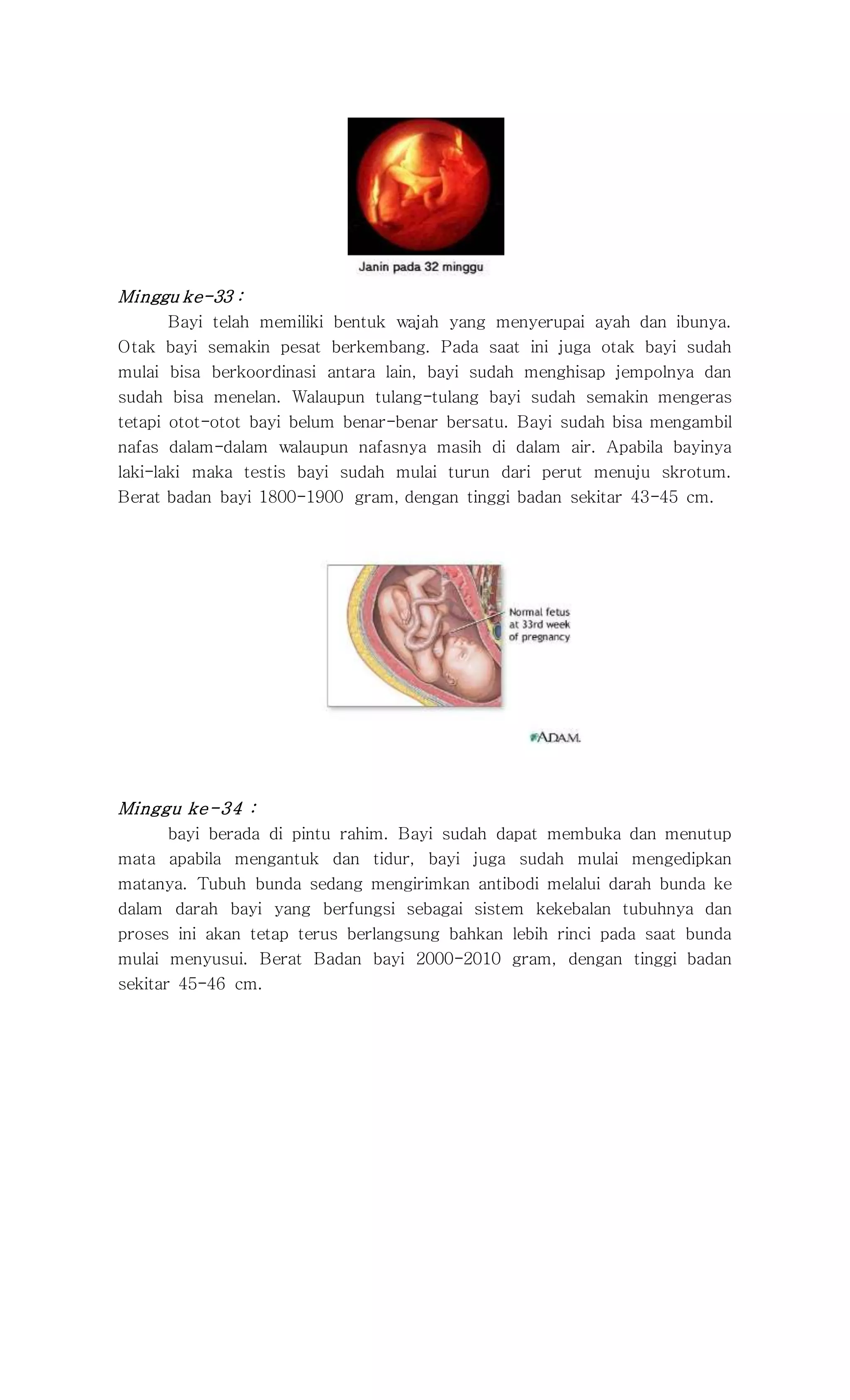 Perkembangan dan pertumbuhan janin (embrio) pada trimester i, trimester ...