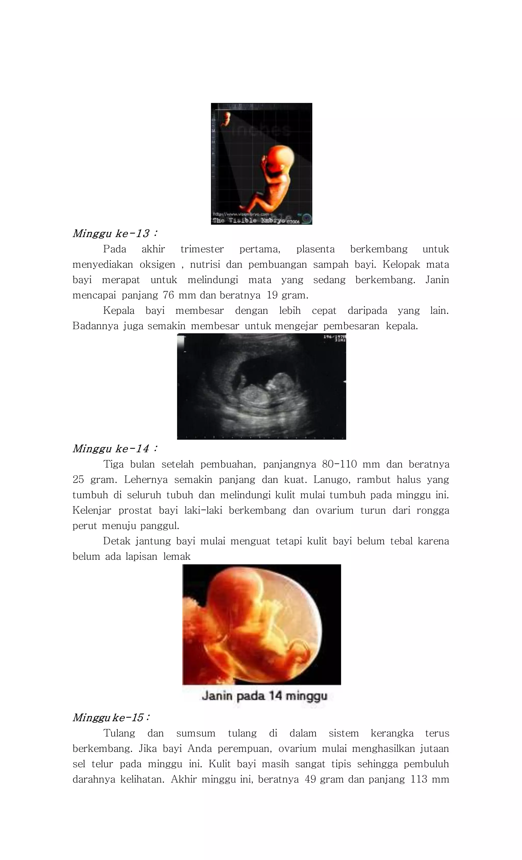 Perkembangan dan pertumbuhan janin (embrio) pada trimester i, trimester ...