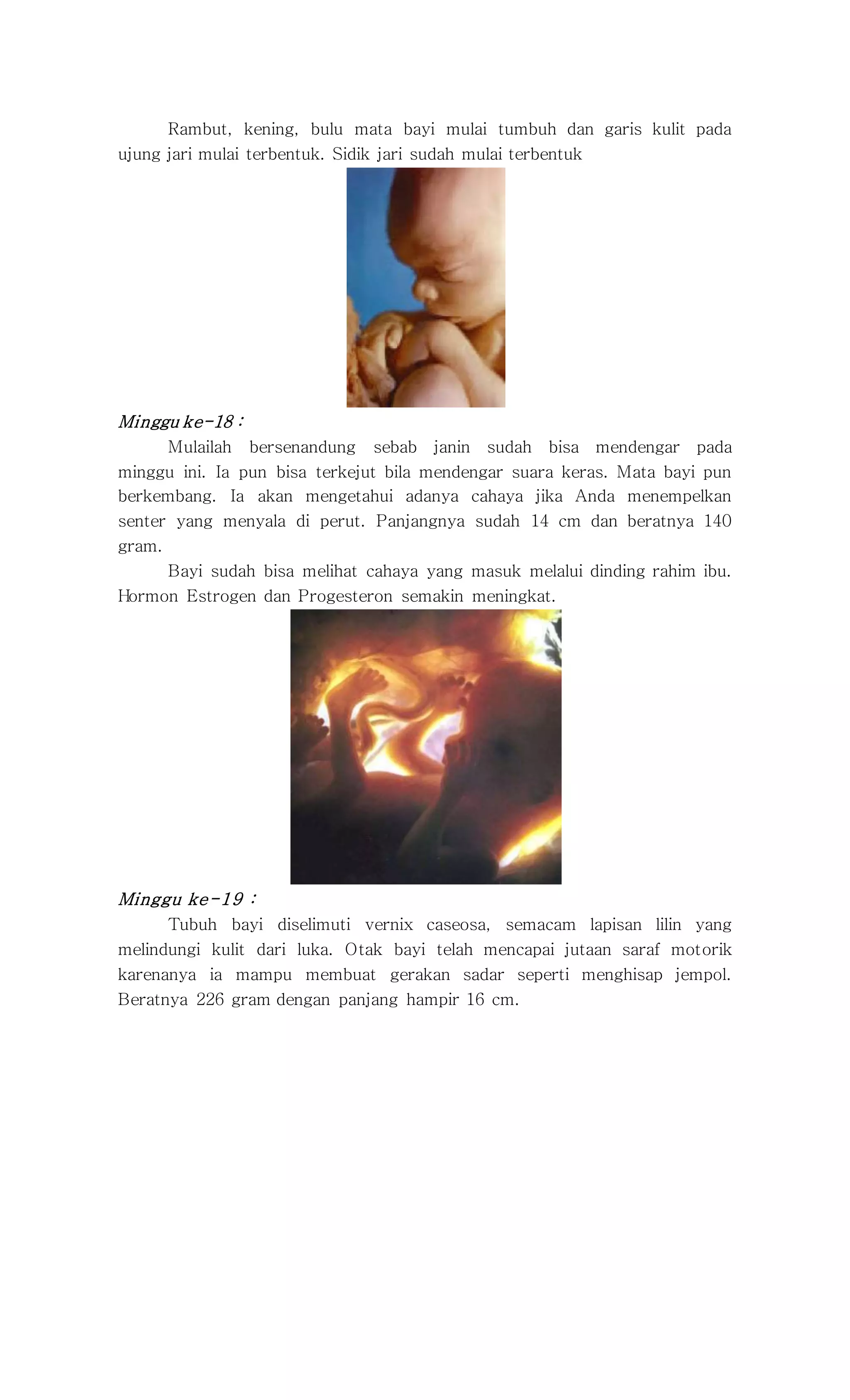 Perkembangan dan pertumbuhan janin (embrio) pada trimester i, trimester ...