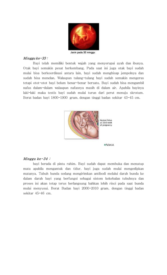 Perkembangan dan pertumbuhan janin (embrio) pada trimester i, trimester ...