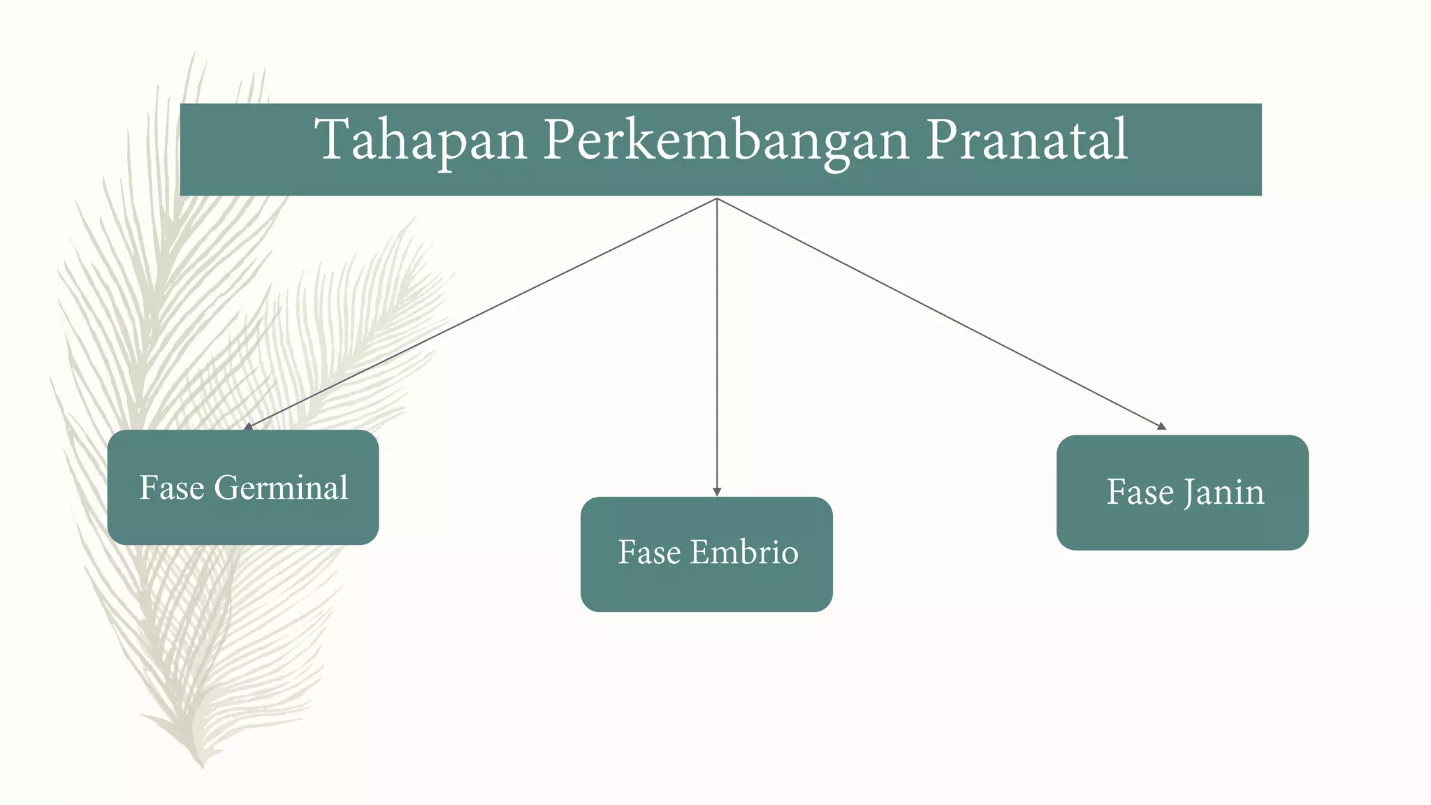 Perkembangan Fase Pranatal | PDF