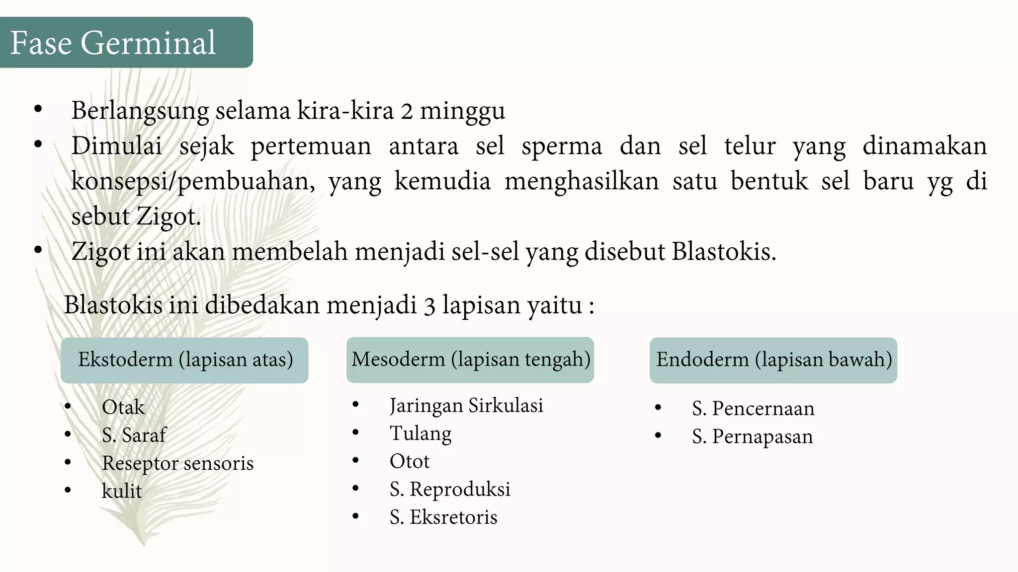 Perkembangan Fase Pranatal | PDF