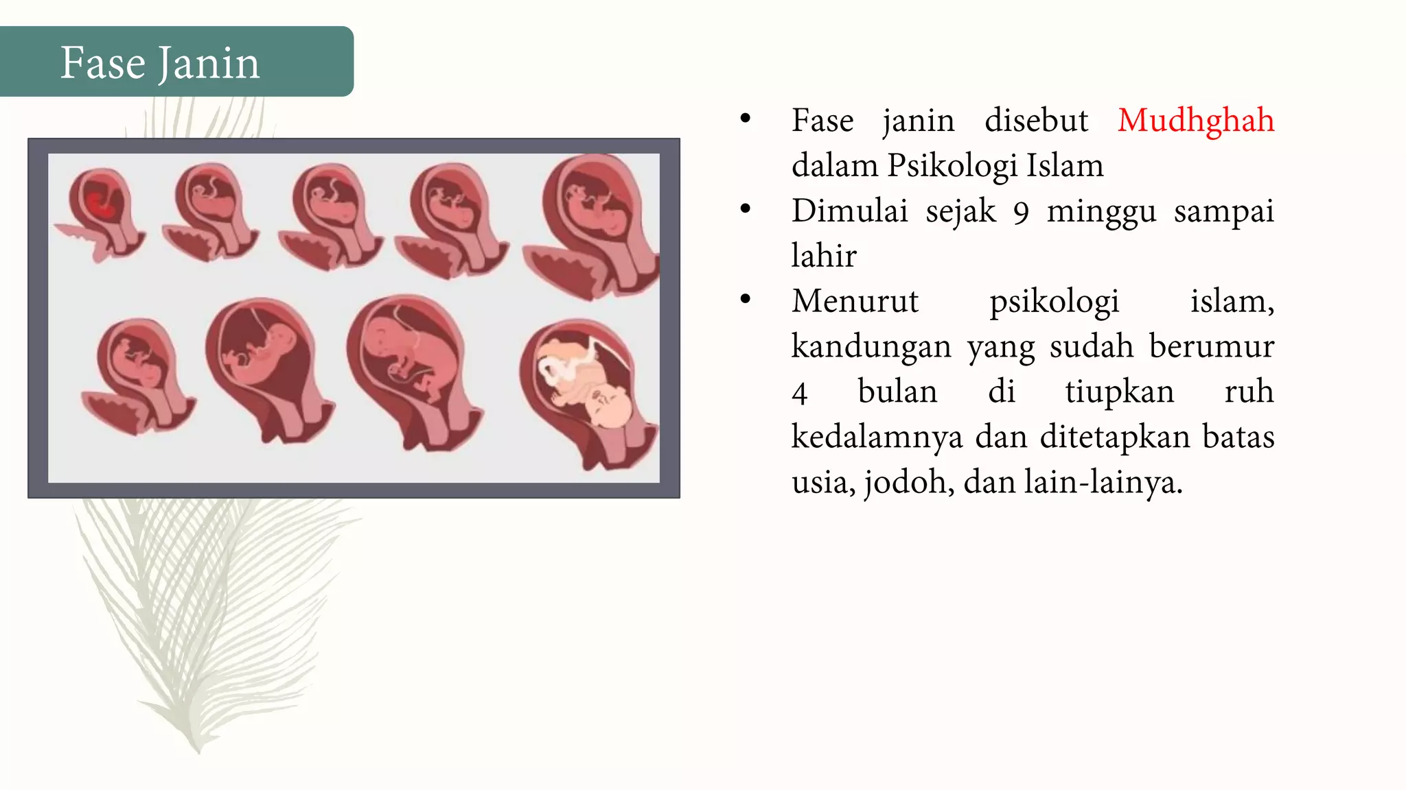 Perkembangan Fase Pranatal | PPT
