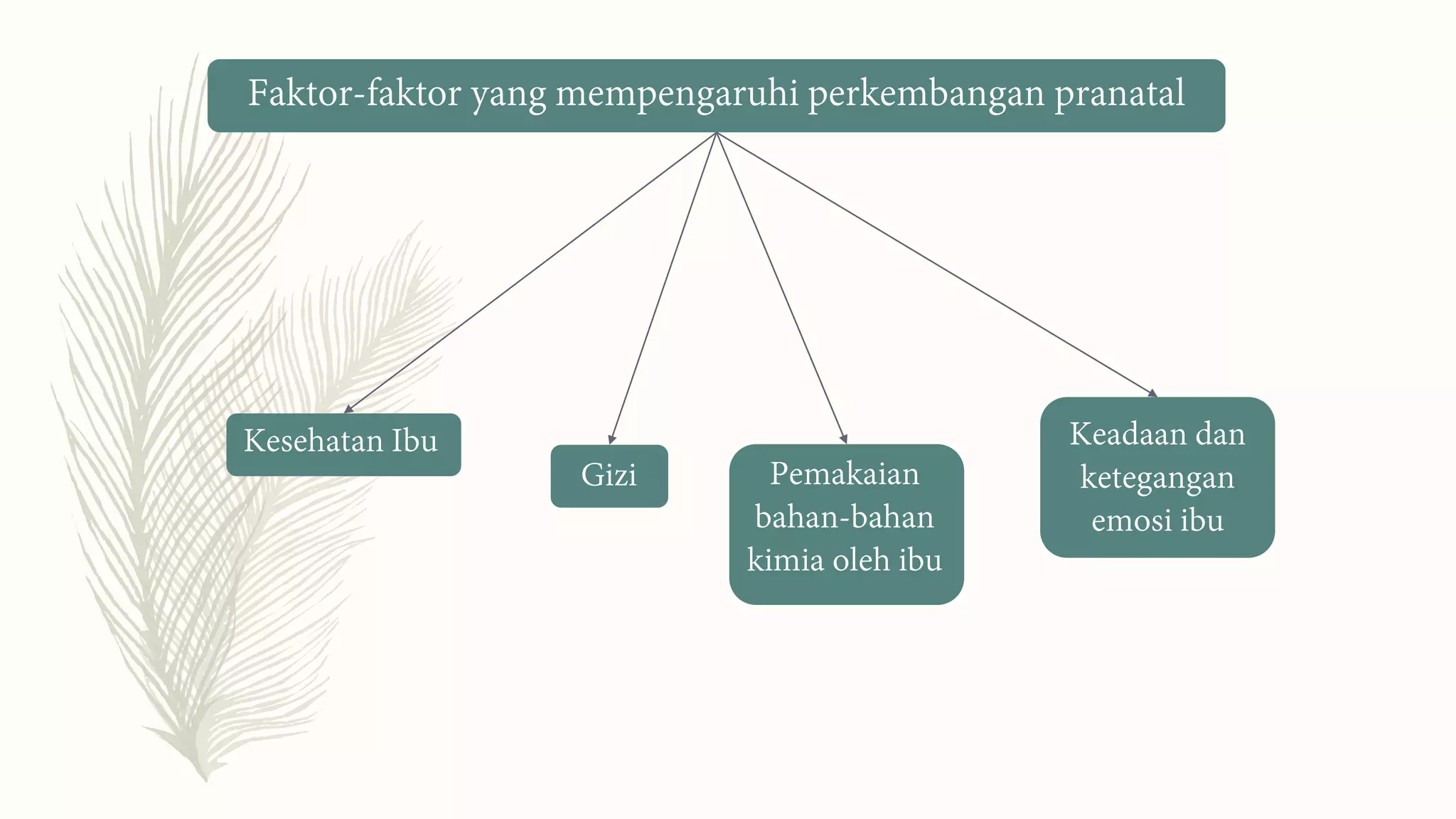 Perkembangan Fase Pranatal | PPT