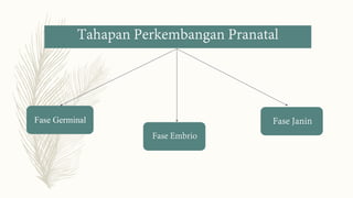 Perkembangan Fase Pranatal | PPT