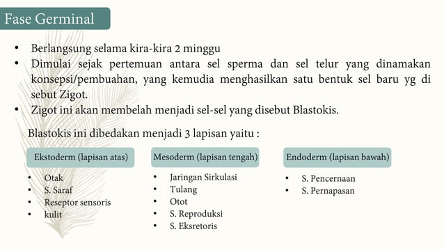 Perkembangan Fase Pranatal | PPT