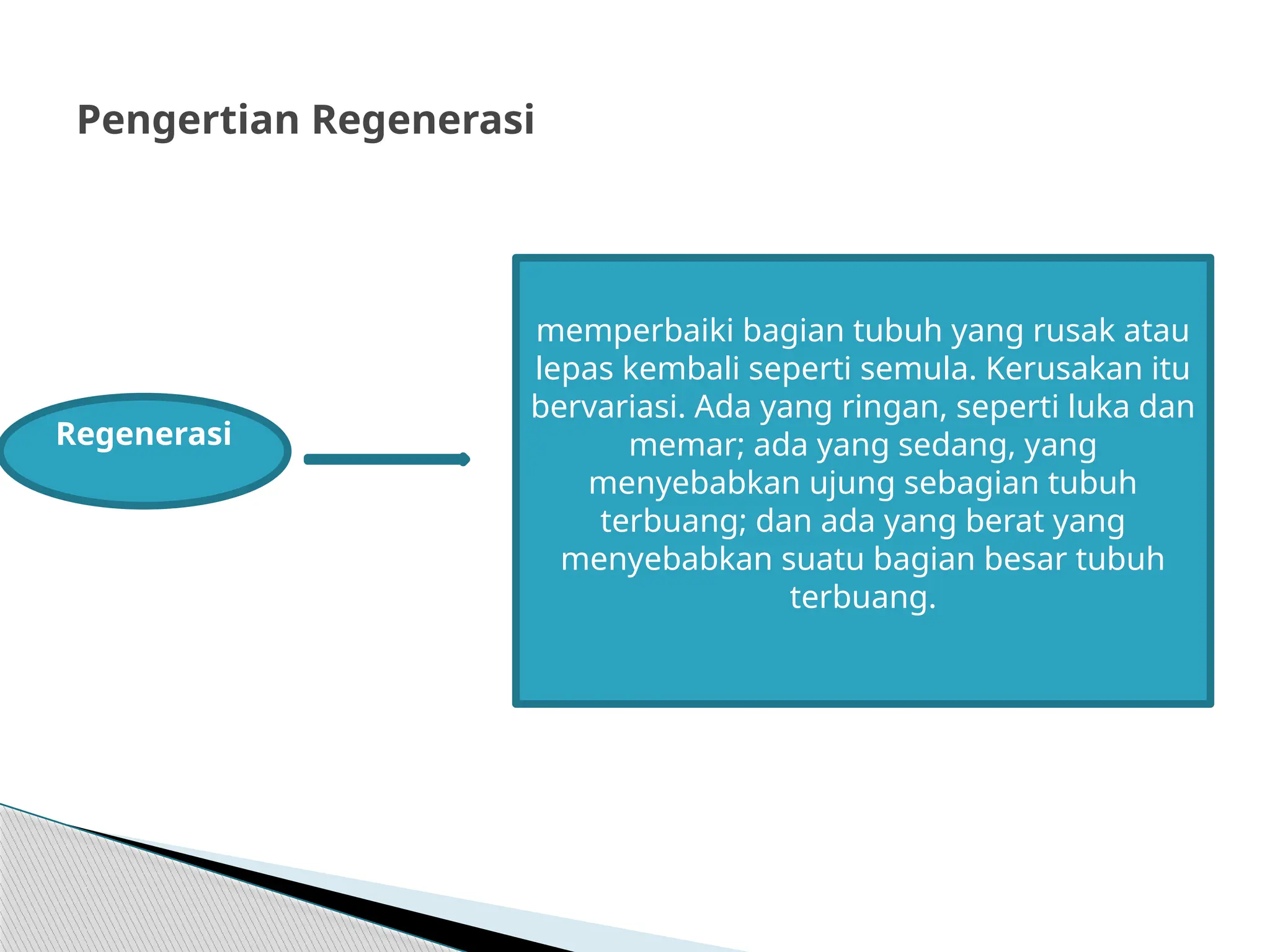 Perkembangan Hewan..................pptx