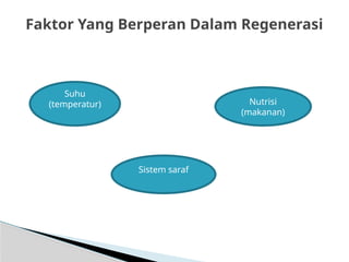 Perkembangan Hewan..................pptx