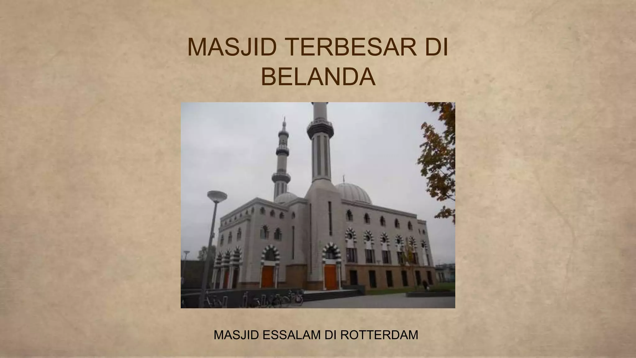 Perkembangan Islam di Belanda | PPTX