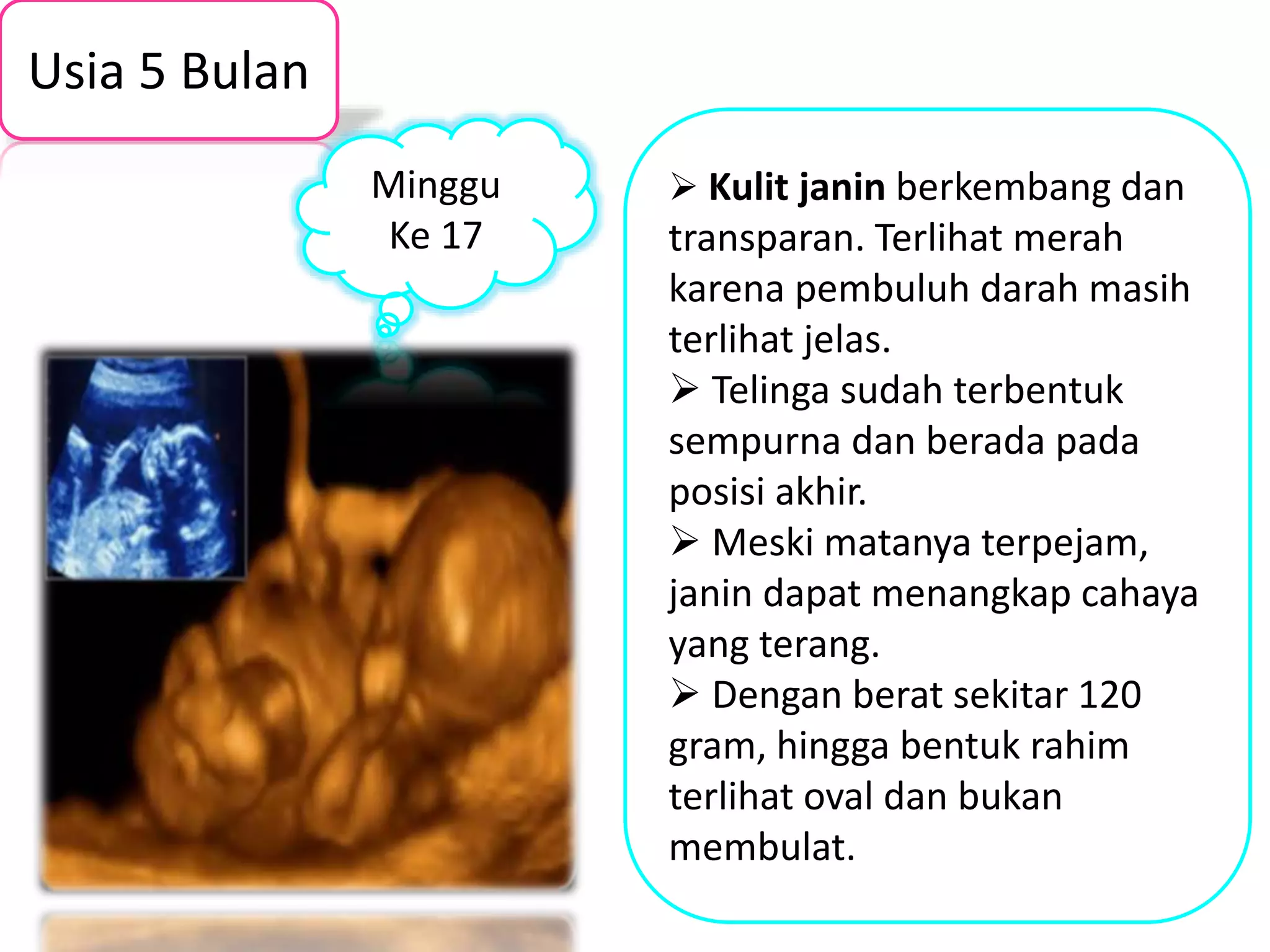 Perkembangan janin | PPTX