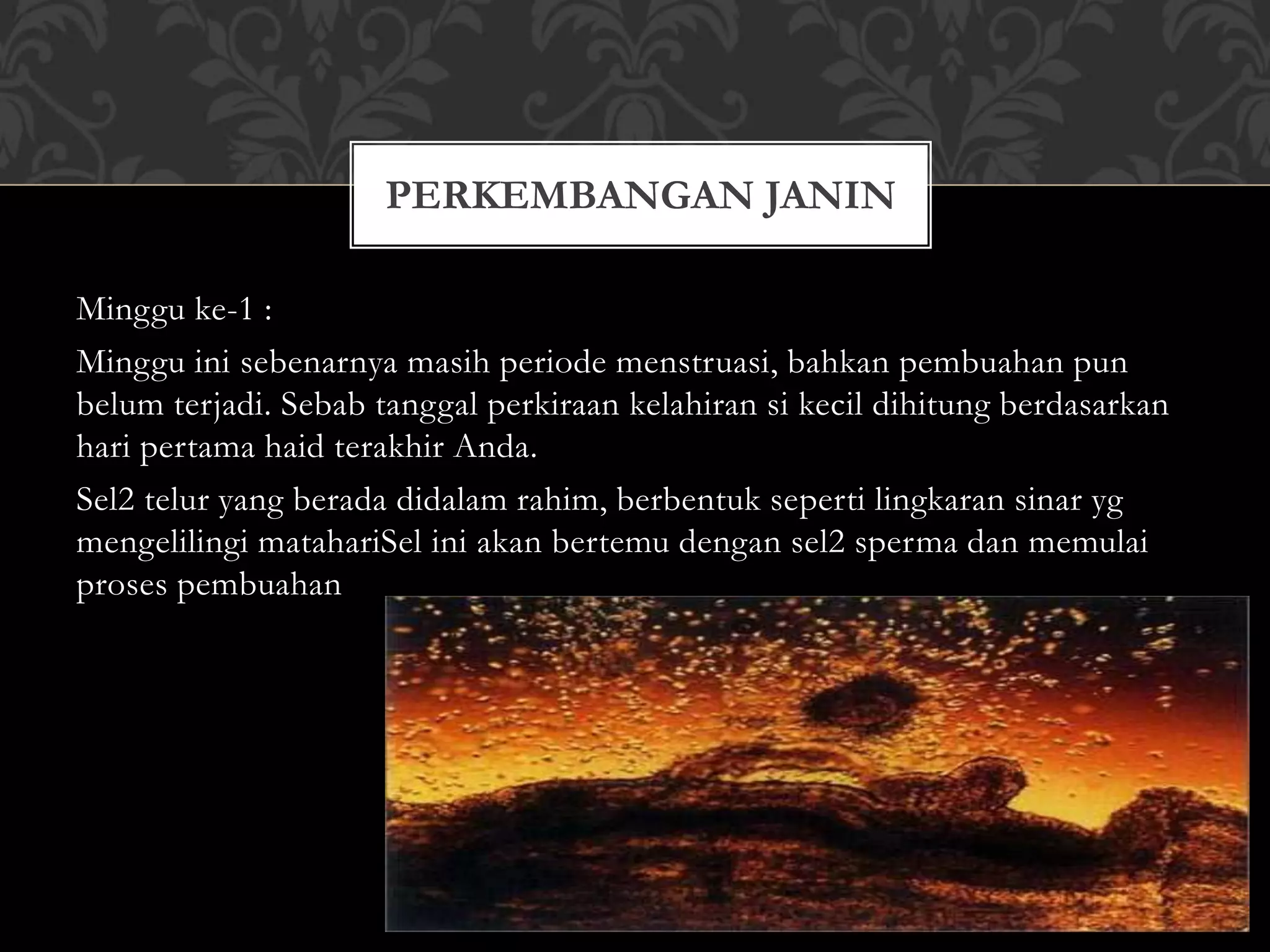 Perkembangan janin dalam rahim | PPTX