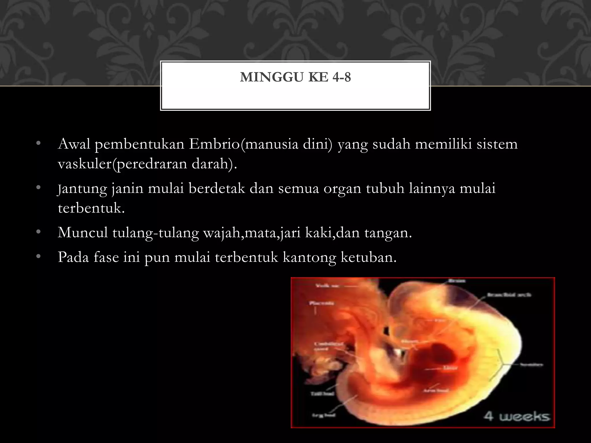 Perkembangan janin dalam rahim | PPTX