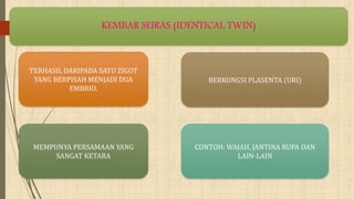 Perkembangan kanak kanak kembar | PPTX