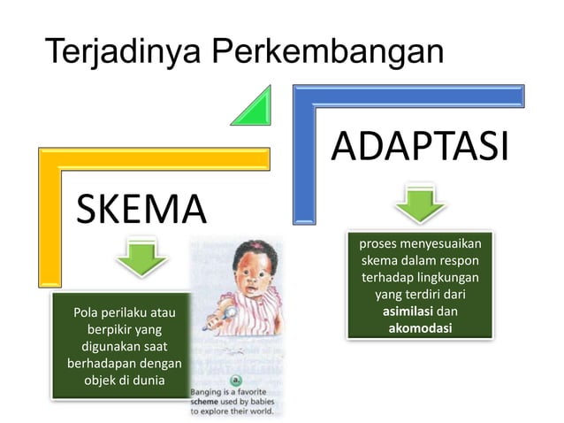 Perkembangan kognitif piaget | PPTX