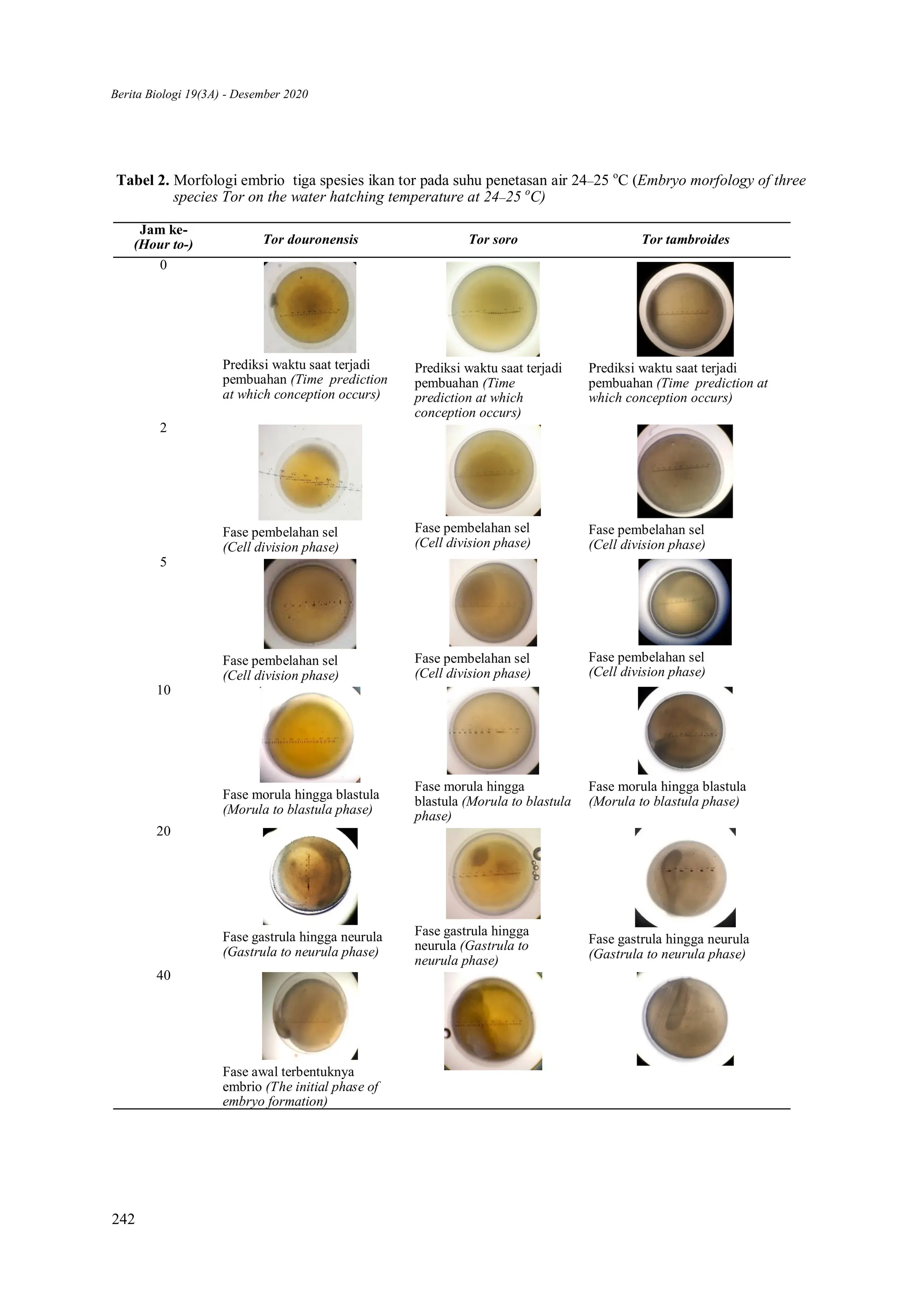 Perkembangan Larva Beberapa Jenis Ikan.pdf