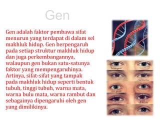 Perkembangan manusia | PPTX