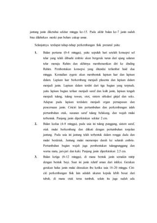 Perkembangan masa prenatal | DOCX
