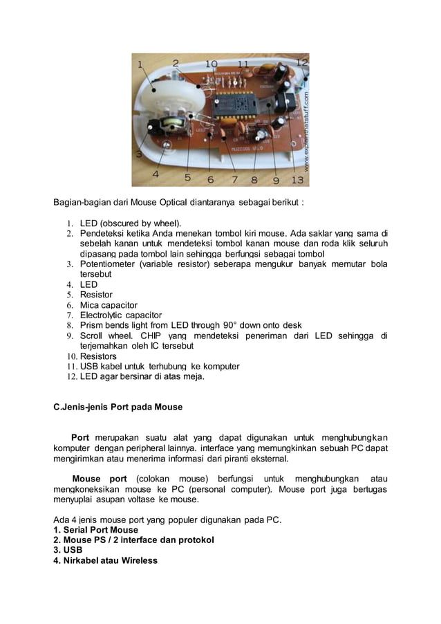 Perkembangan mouse | DOCX