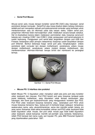 Perkembangan mouse | DOCX