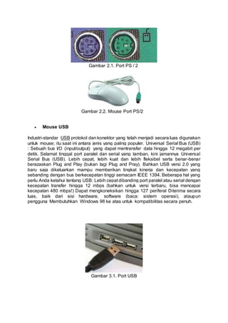 Perkembangan mouse | DOCX