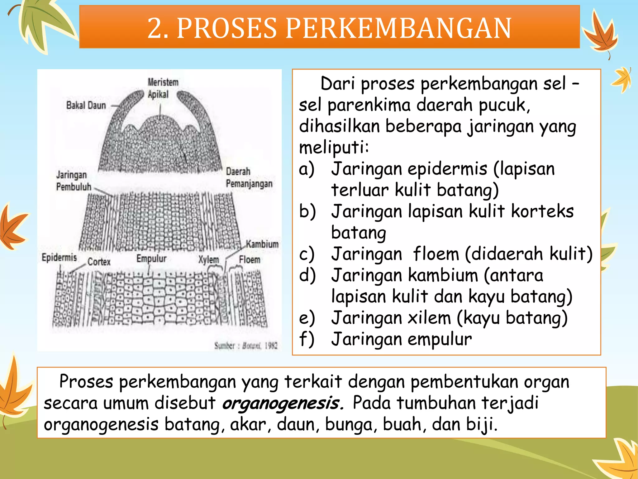 Perkembangan Pada Tumbuhan, Hewan dan Manusia | PPTX