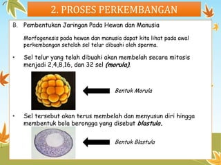Perkembangan Pada Tumbuhan, Hewan dan Manusia | PPTX